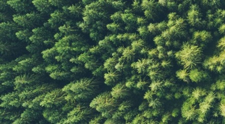 Climate-related financial disclosures in New Zealand - overview of the ...