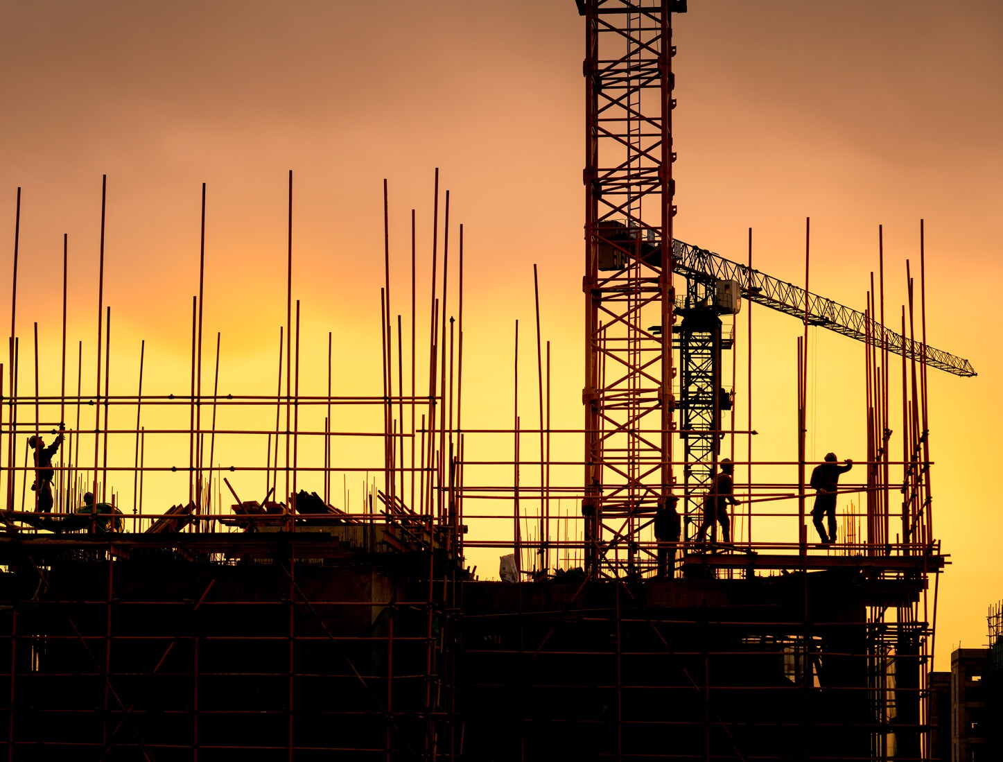Modern slavery: what Aotearoa New Zealand organisations need to know