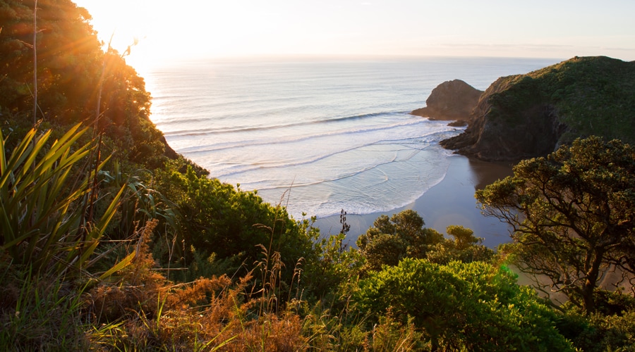 Improving operational excellence and performance, Perform programme