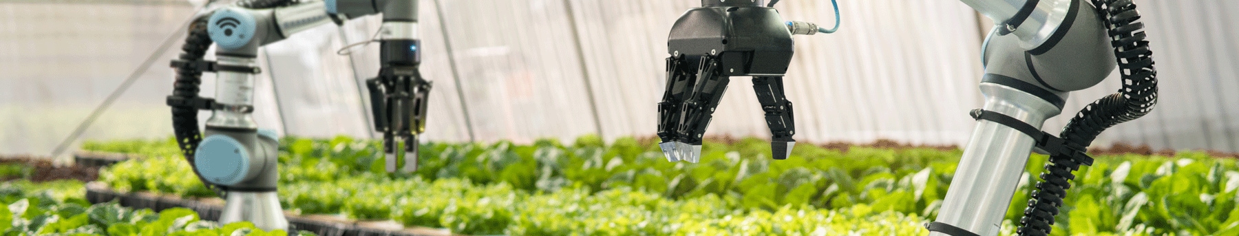 Unlocking a greener GDP through a circular bioeconomy