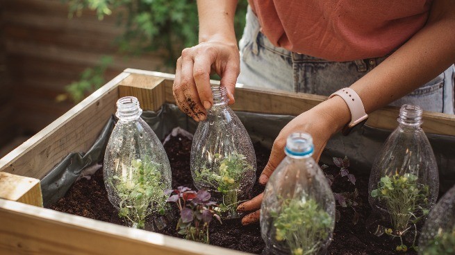 Climate change scenario analysis