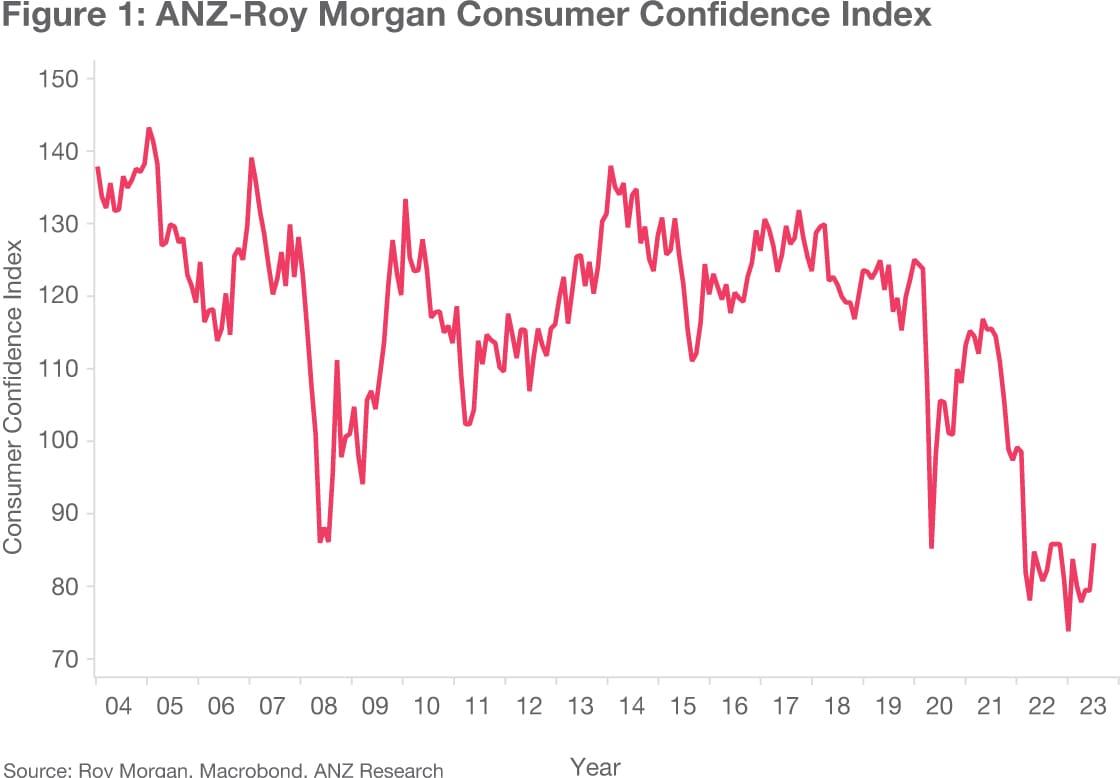 Retail and Consumer Insights (Quarter 2 2023)