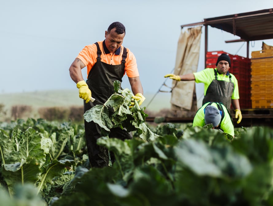 Unlocking the potential of Māori economic rangatiratanga: opportunities ...
