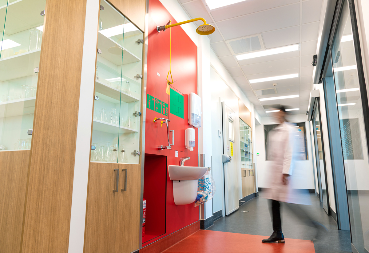 Unlocking the potential of Māori economic rangatiratanga: opportunities ...