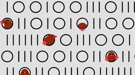 Risk: see it, share it, sort it