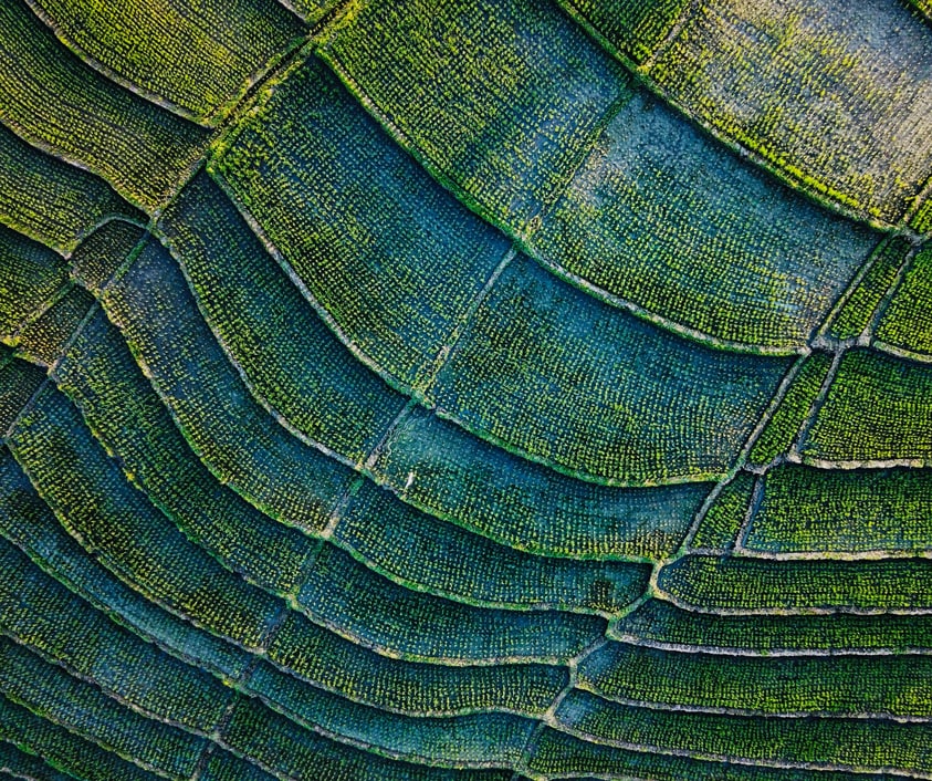 Startup Investment (Autumn 2023)