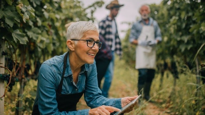 Recognising the importance of geopolitical impacts to effectively ...