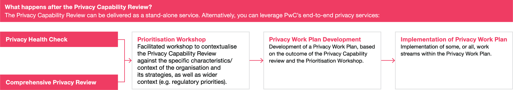 Privacy Capability Review