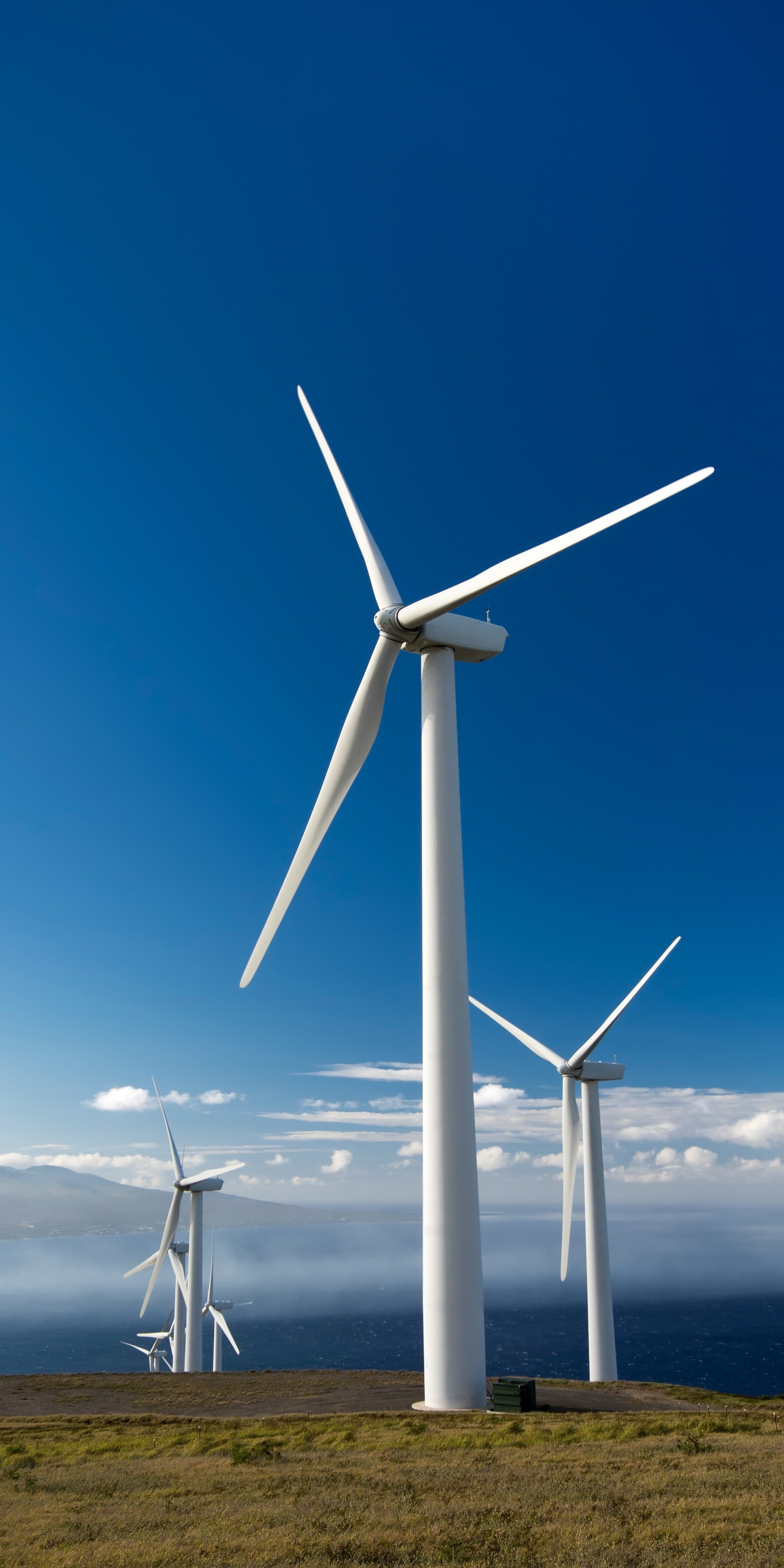 Overseas Investment Regulations - Doing Business in New Zealand
