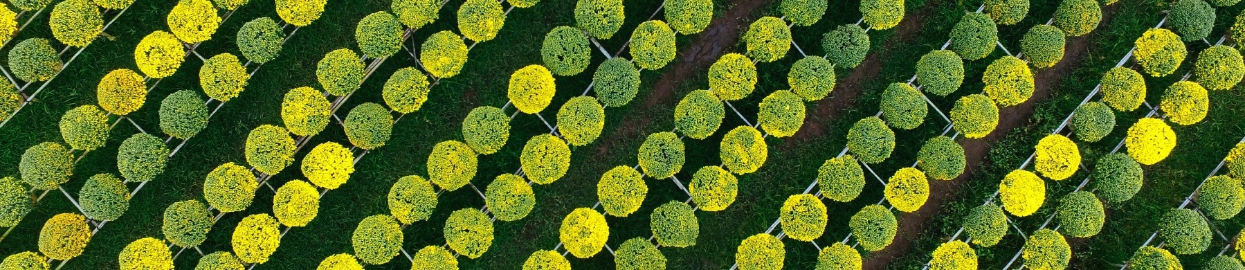 Aotearoa New Zealand’s climate-related disclosures: 2024 and beyond